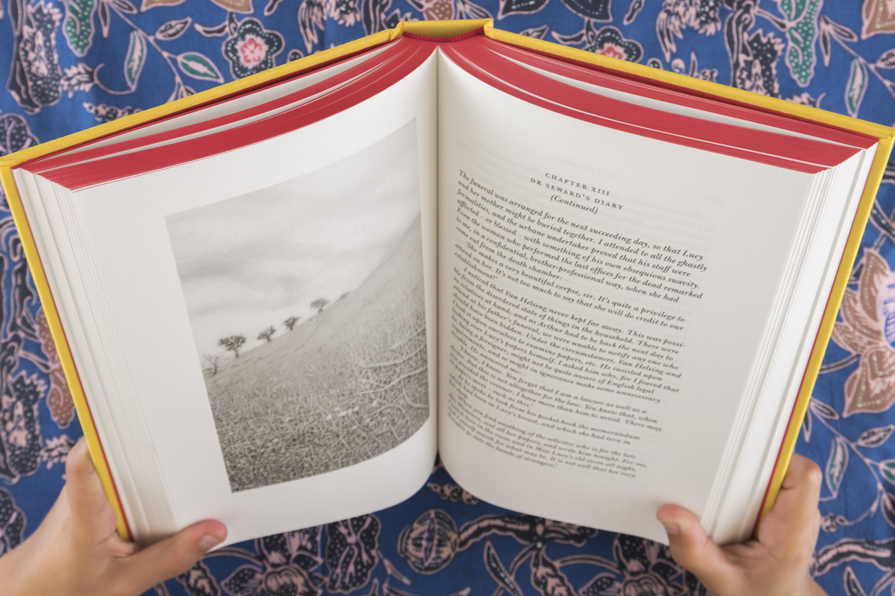 Dracula | Familiars | Four Corners Books