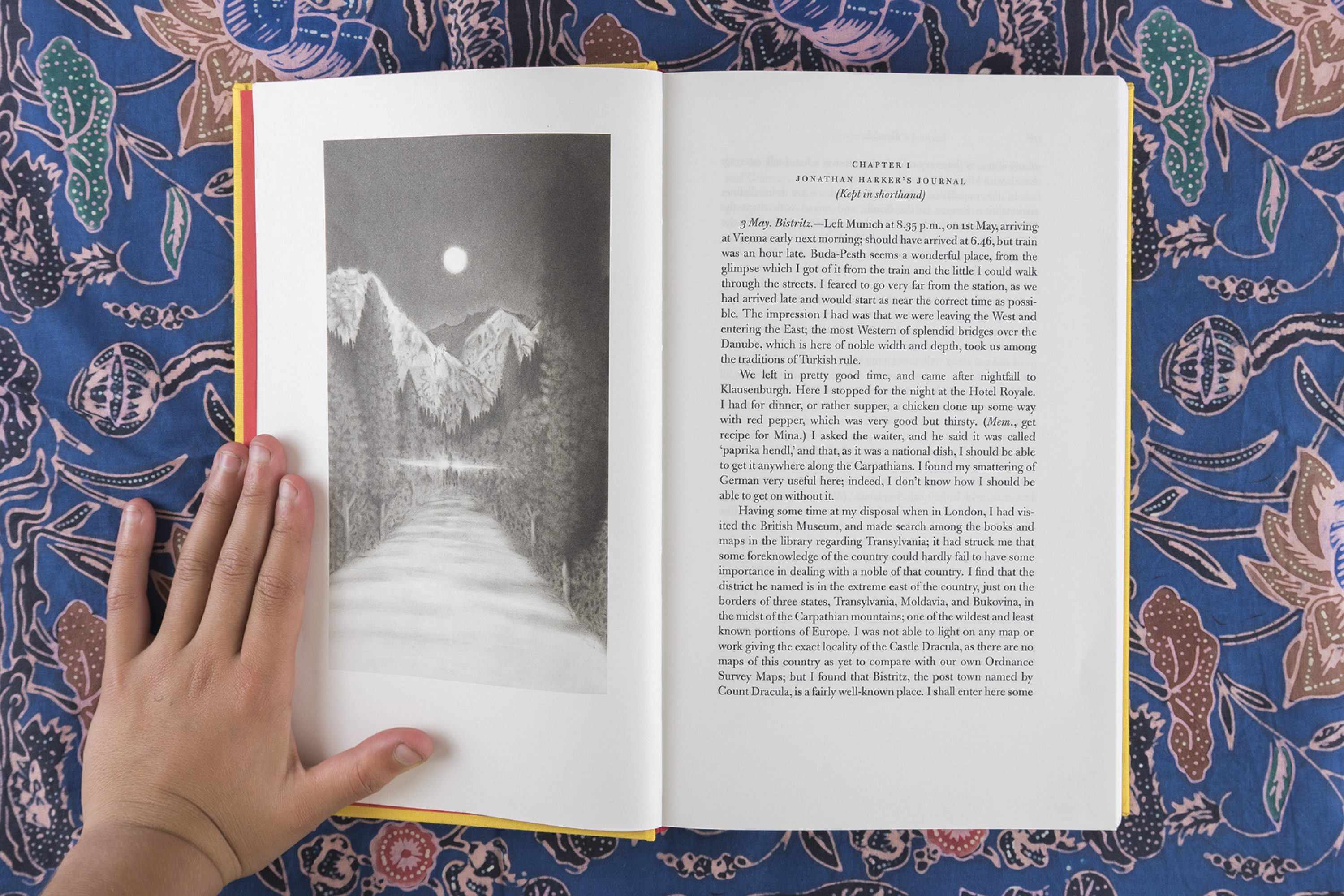 Dracula | Familiars | Four Corners Books